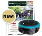 BloodHorse Daily - BloodHorse