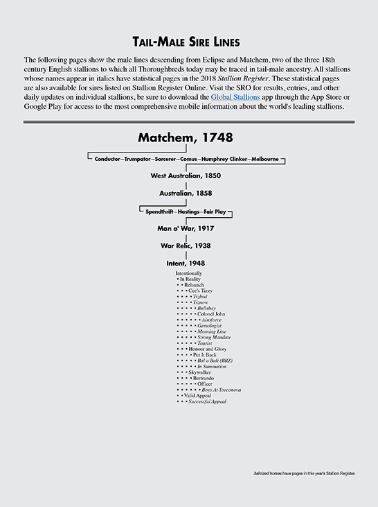 Thoroughbred Reports, News, Sire Lists, Blogs, Video, Pedigree Analysis ...