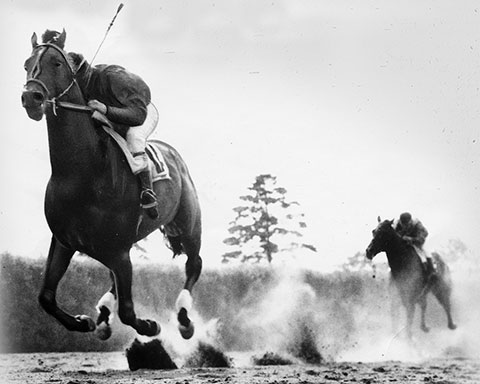 Triple Crown Winners - Features - BloodHorse.com