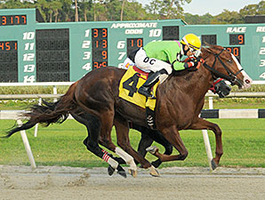 Horse Racing | Horse Racing Entries | Horse Racing Results | Past ...