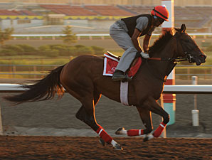 Dixie Strike Profile, News, Entries, Results, Video, and Blogs ...