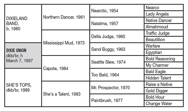 Dixie Union Influence Being Felt - BloodHorse