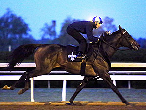 Exaggerator Profile, News, Entries, Results, Video, and Blogs ...