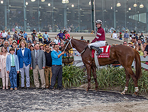 Gun Runner Profile, News, Entries, Results, Video, and Blogs ...