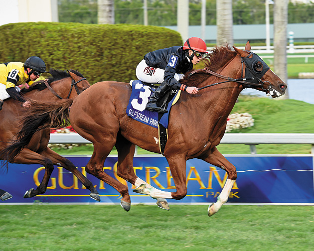 New Sires: American Made - BloodHorse