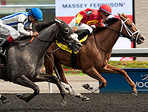 Horse Racing | Horse Racing Entries | Horse Racing Results | Past ...