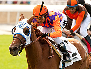 Use (including viewing) of the material contained herein ...