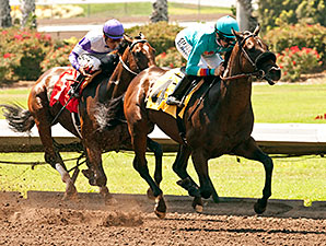 Use (including viewing) of the material contained herein ...