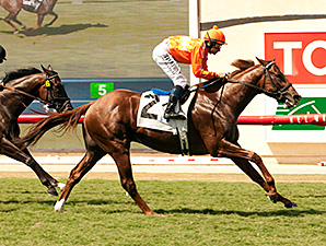 Horse Racing | Horse Racing Entries | Horse Racing Results | Past ...