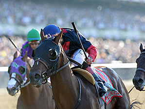 Tonalist Profile, News, Entries, Results, Video, and Blogs | BloodHorse.com