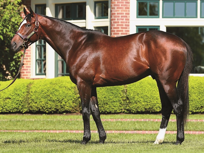 Tonalist - Stallion Register Online