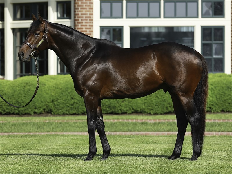 Connect - Stallion Register Online