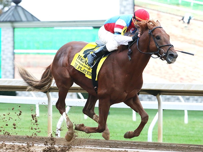 The Player - Stallion Register Online