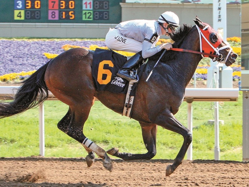 Rivers Run Deep - Stallion Register Online