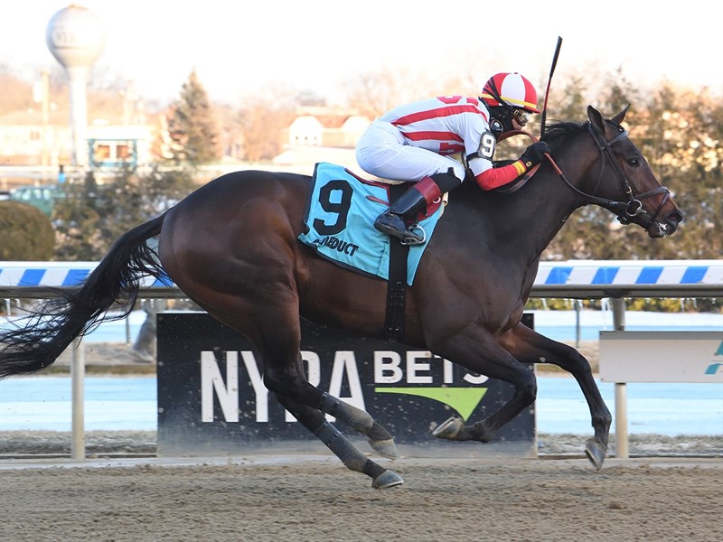 Early Voting - Stallion Register Online