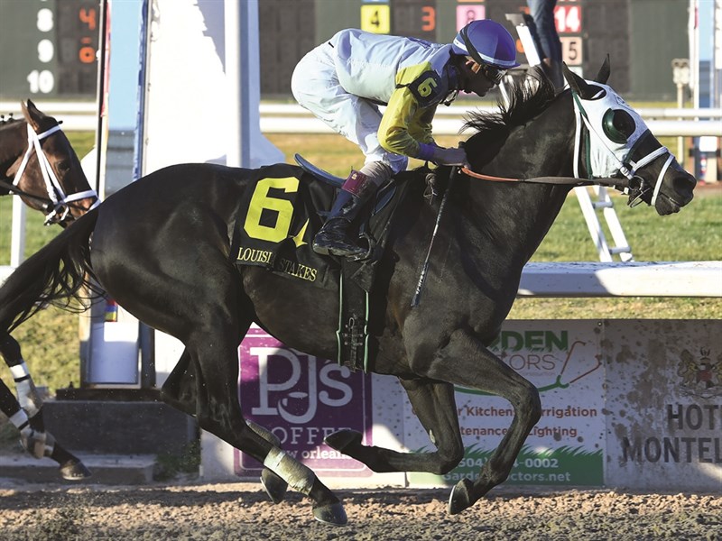 Title Ready - Stallion Register Online
