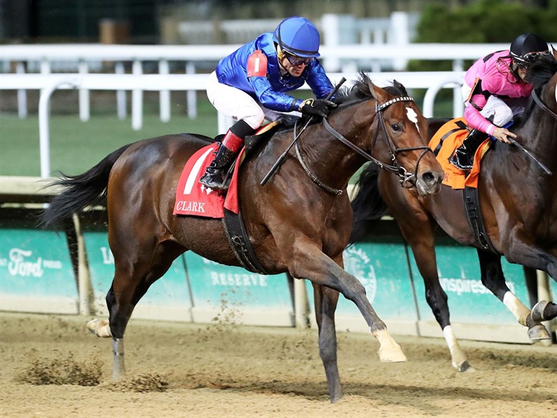Proxy - Stallion Register Online