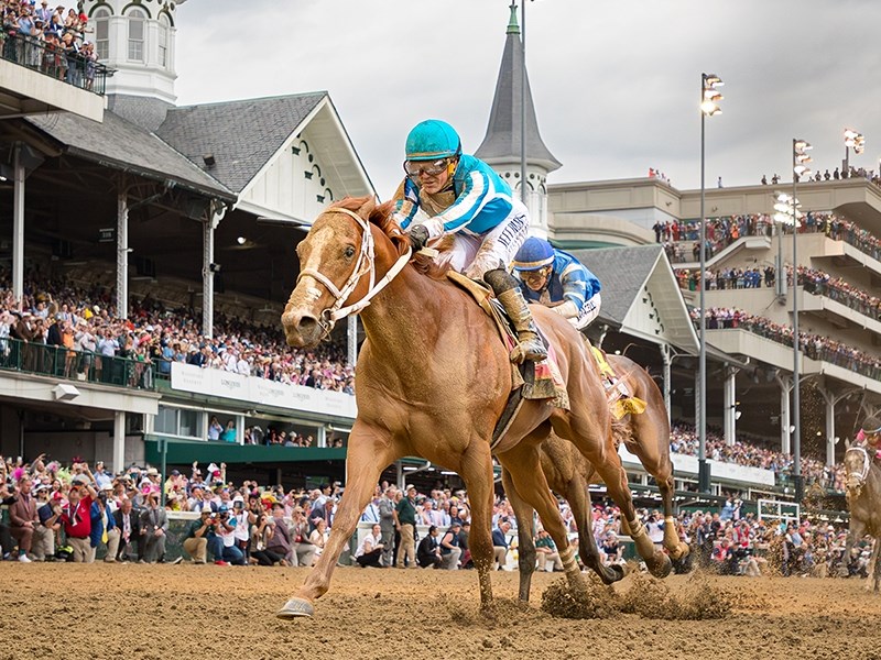 Mage - Stallion Register Online