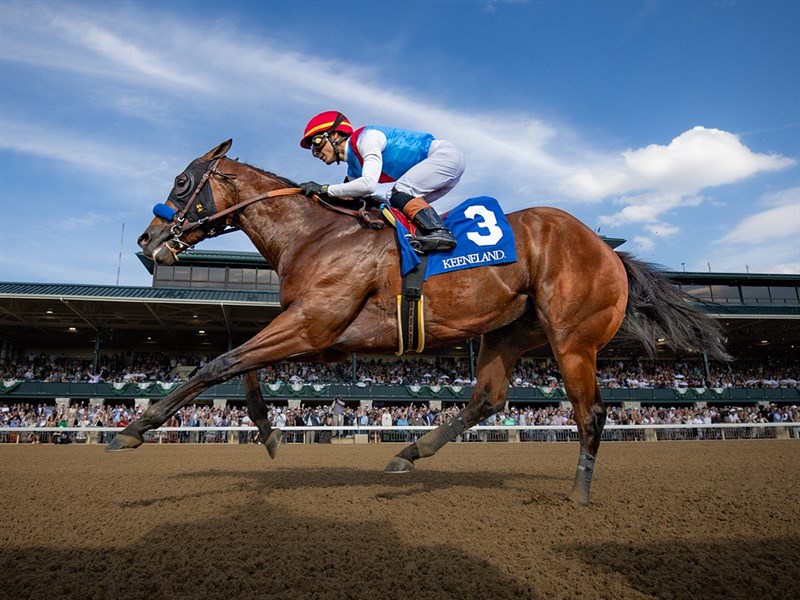 Barnes - Stallion Register Online