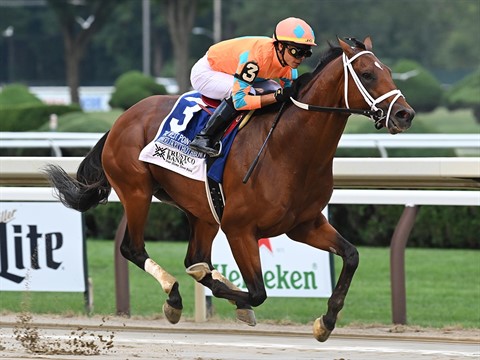 Om - Stallion Register Online