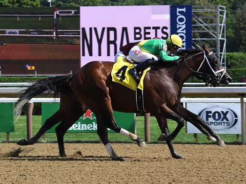 Vindictive - Stallion Register Online